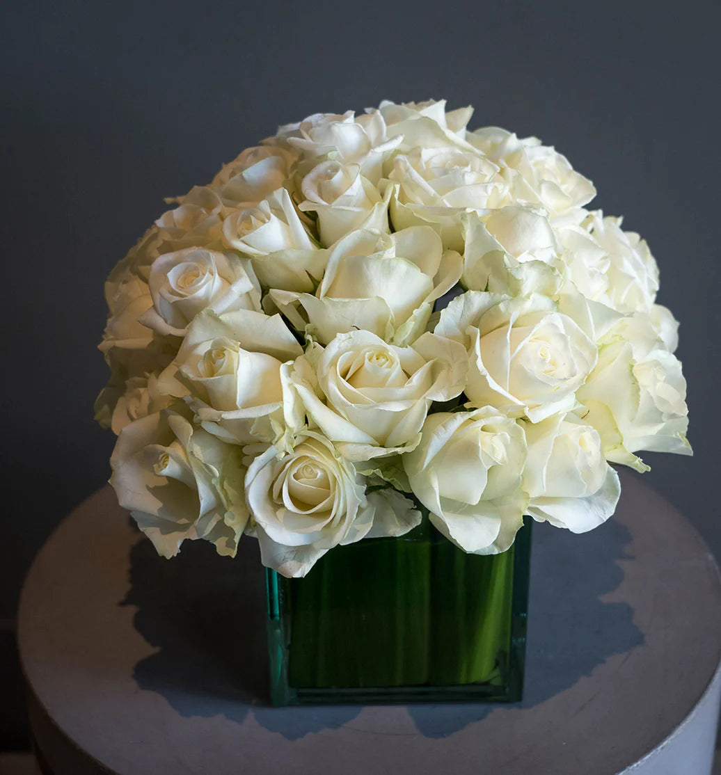 White Rose Arrangement – Petals and Pots